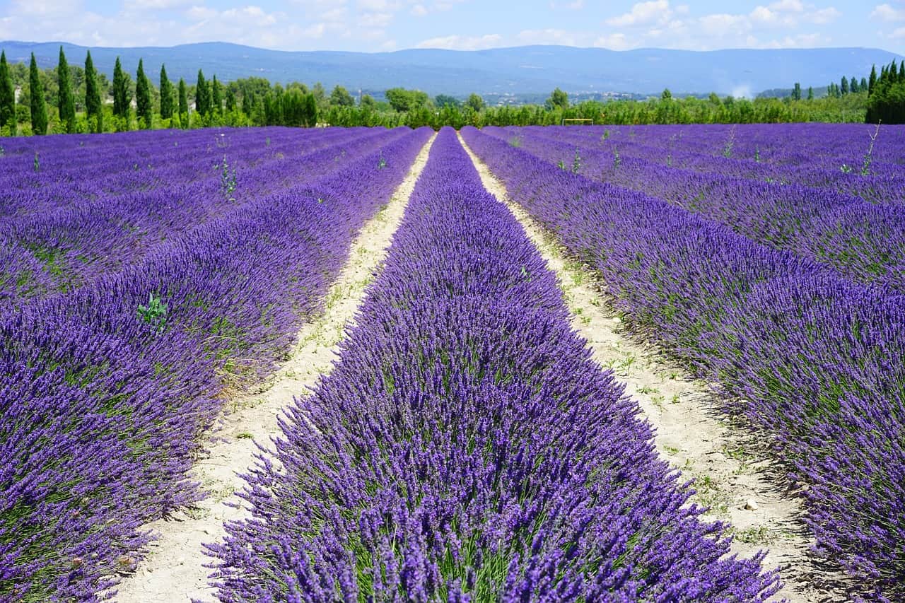 Best Places in South of France to visit | Bucketlist Approved!