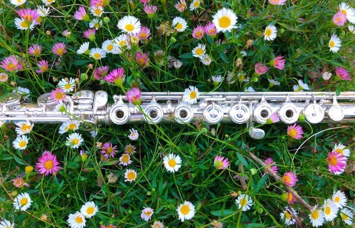 30 Of The Best Travel Friendly Instruments - Made For Travellers