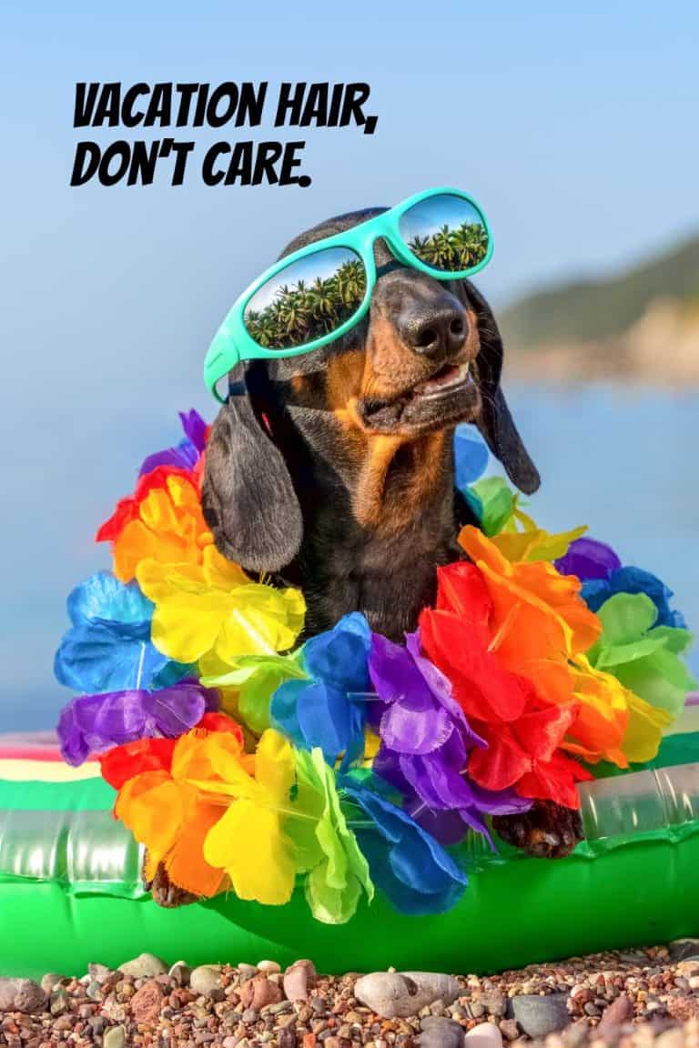 100+ Vacation Quotes You’ll Love – Fun, Family & Summer Vibes! - Made ...