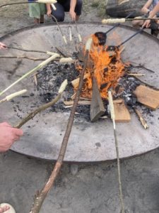 30+ Campfire Ideas for Cozy Nights & Backyard Fun 🌙