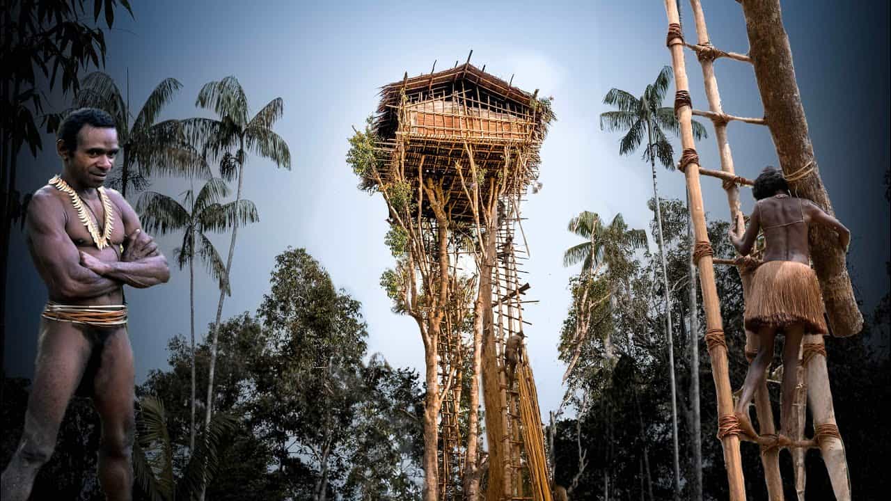 Why the Korowai Tribe Builds Homes 100 Feet in the Air