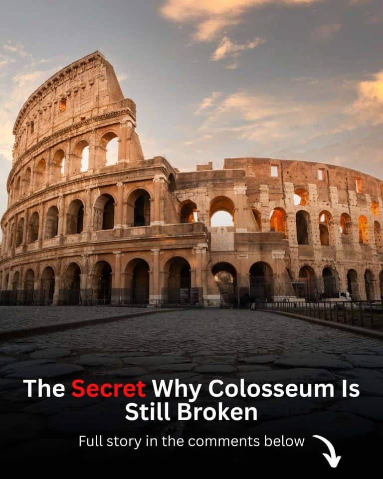 The Surprising Reason the Colosseum Is Missing Half Its Walls - Made ...